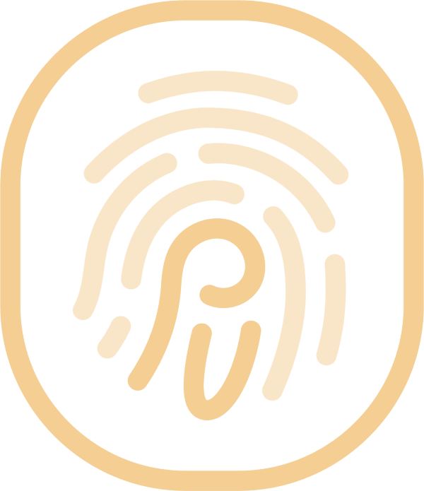 Login - Practical Vision